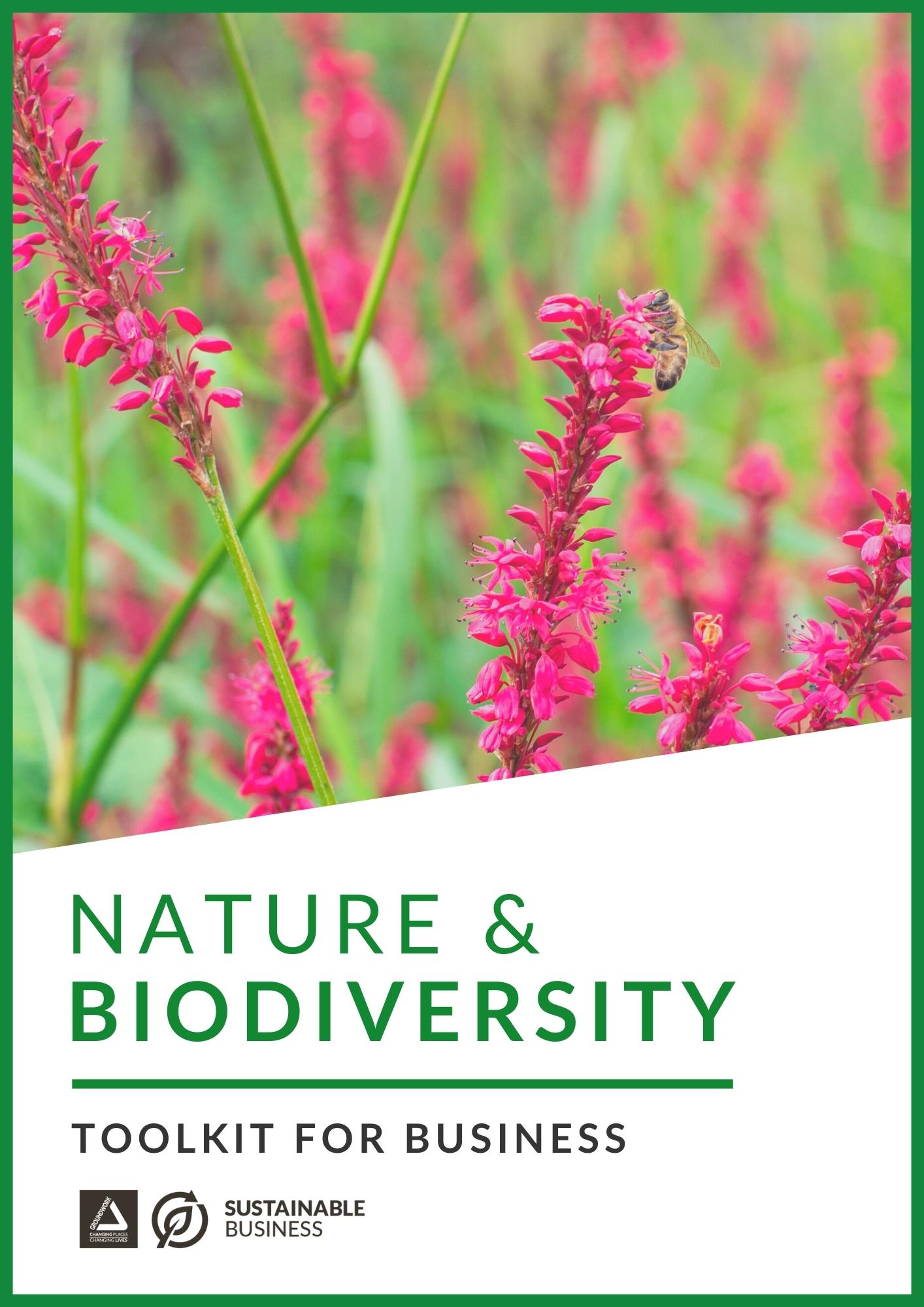 Toolkit download - Sustainable Business Consultants